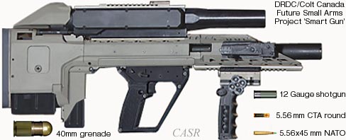 캐나다가 개발 중인 복합소총