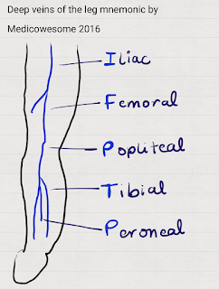 Medicowesome: Superficial and deep veins in upper and lower extremity ...