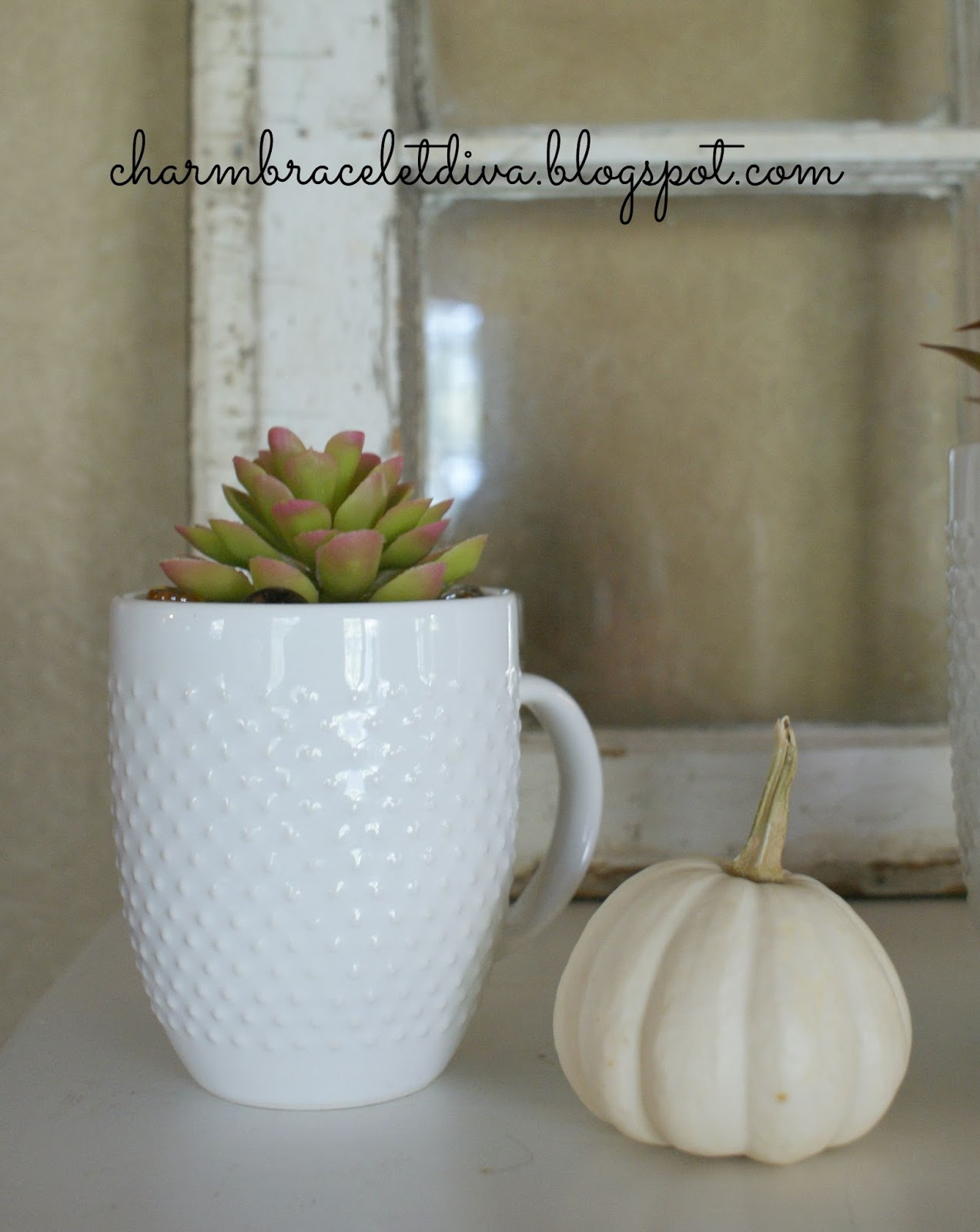 Our Hopeful Home: 5 Tips for Styling Succulents (and Where I got Mine!)