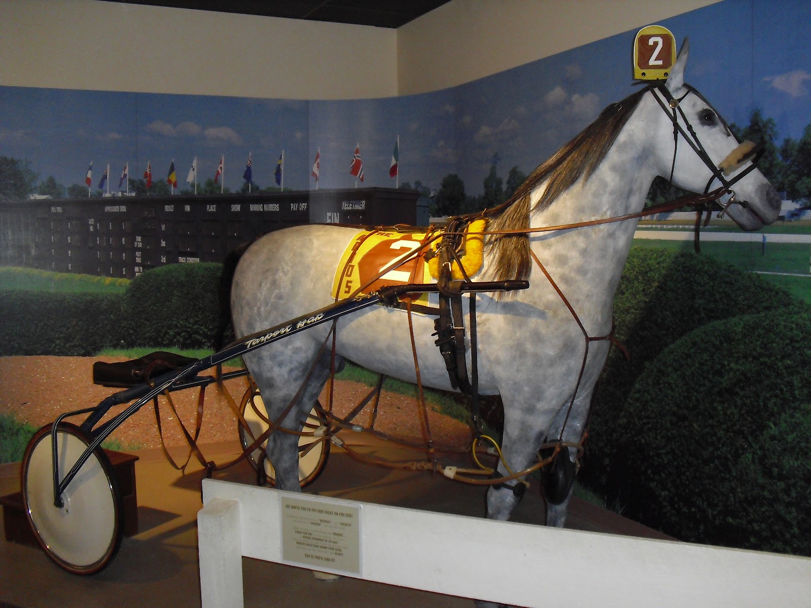 Stay on Route 6: Scenes from New York US Route 6