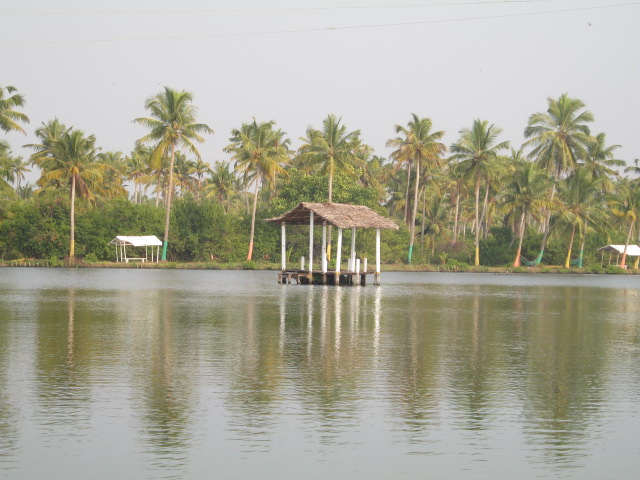 YAATHRA യാത്ര: Matsyafed Fish Farm, Narakkal,Ernakulam,Kerala