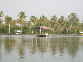 YAATHRA യാത്ര: Matsyafed Fish Farm, Narakkal,Ernakulam,Kerala