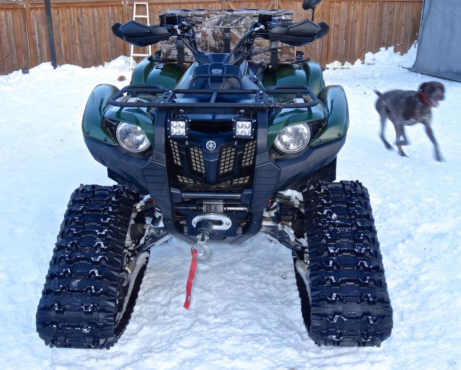 Welcome To Our CUBBEEZX ATV ADVENTURES: Tracks on the Grizzly