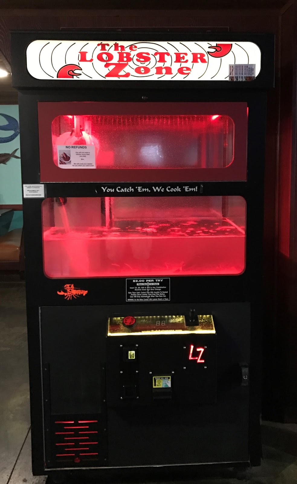 Pat and Judy's Travels: February 2017