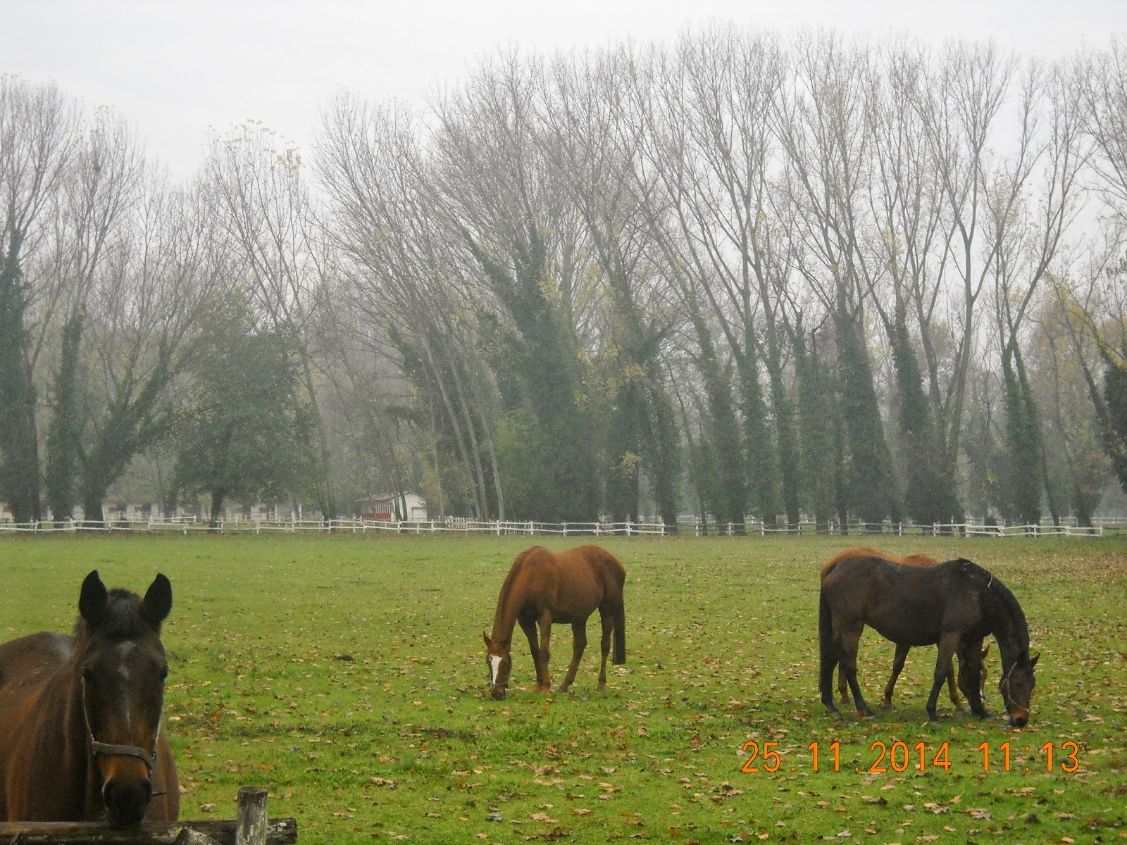 ΜΕΓΑΛΑ ΚΑΛΥΒΙΑ - ΤΟ ΣΠΙΤΙ ΤΟΥ ΠΟΛΙΤΙΣΜΟΥ: O Μύλος των Ξωτικών στα ...