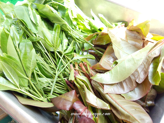 Menu Kampung Sambal Nyor Bersama Ulam