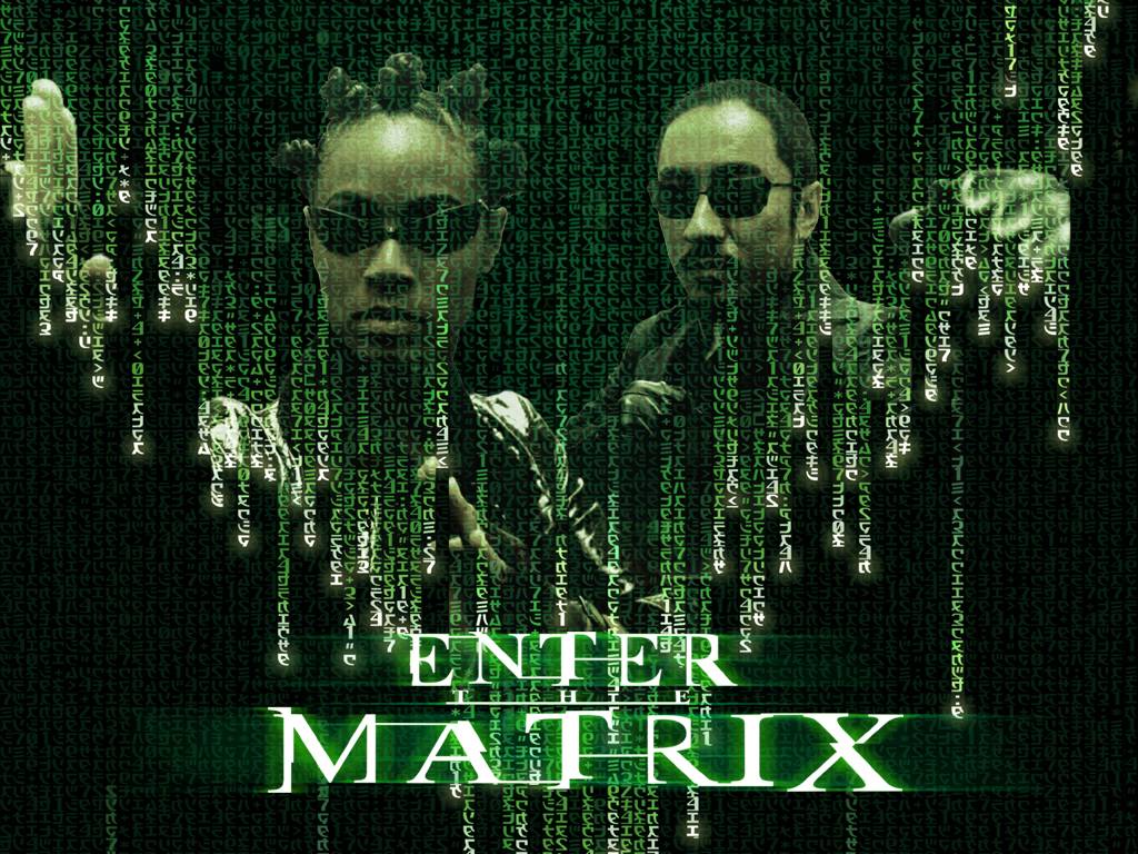 Matrix: The Matrix: Enter The Matrix