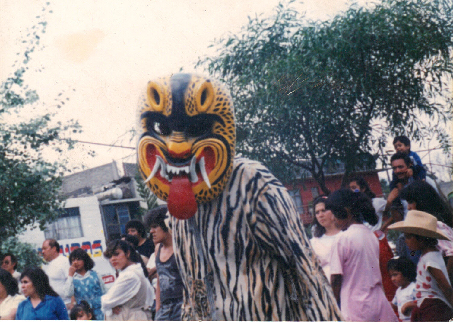Danza de Tecuanes Herencia Acateca: EL JAGUAR: ICONO FELINO EN MEXICO