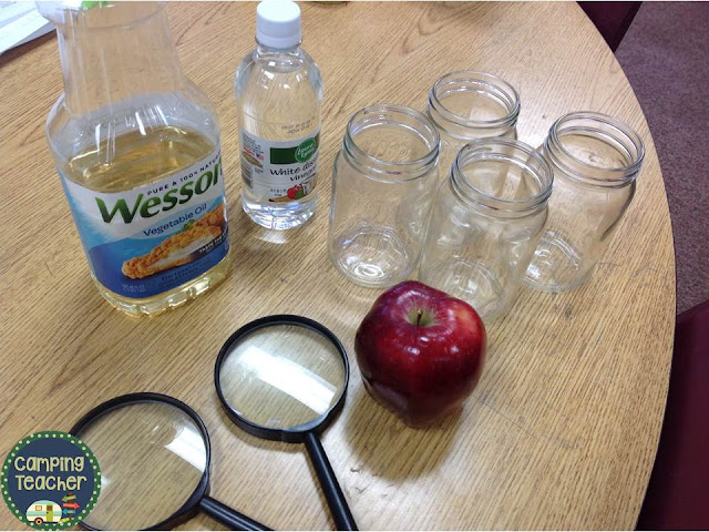 CampingTeacher: Apples Experiment