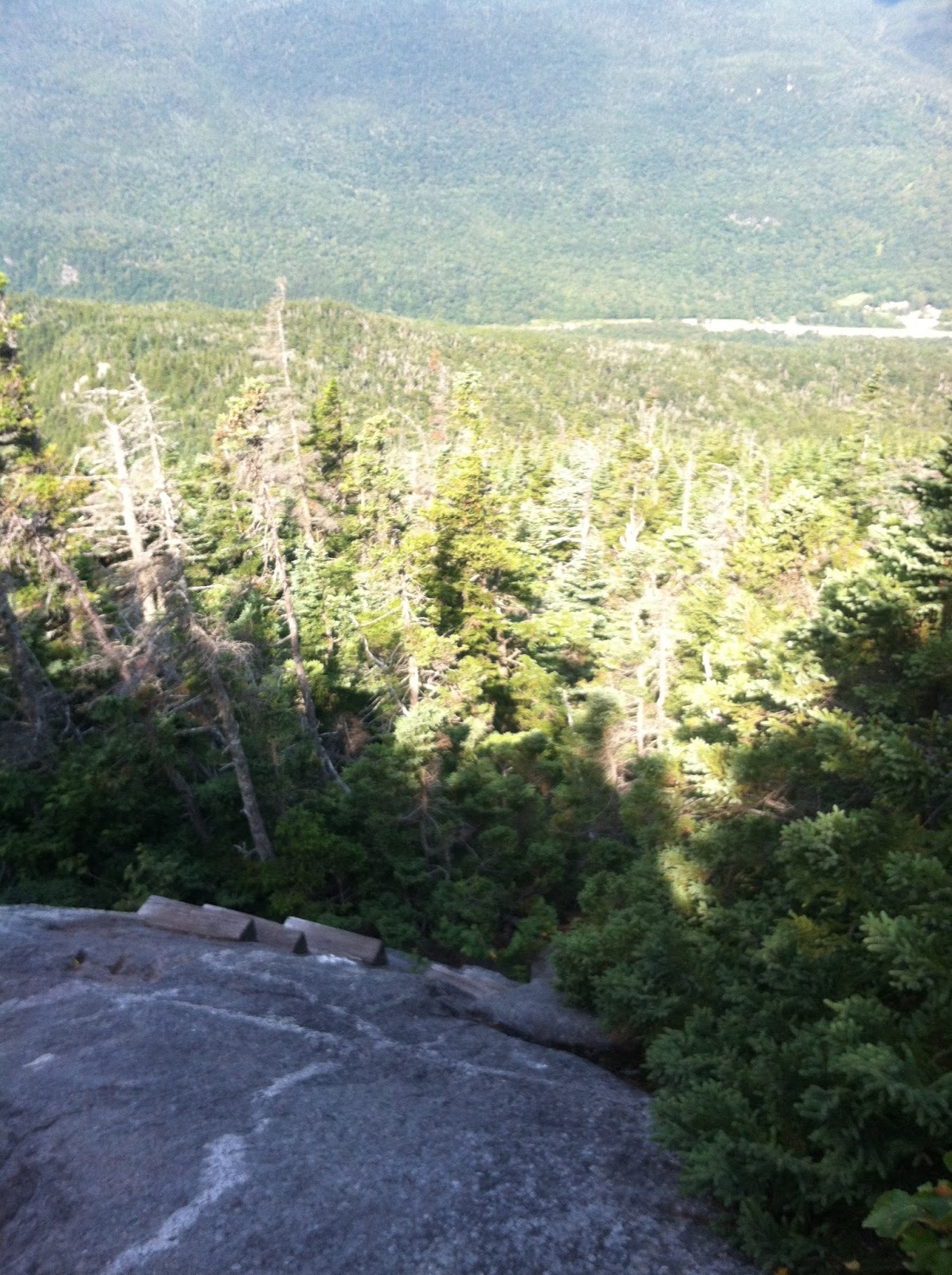 The Terrifying 25: Wildcat Ridge Trail