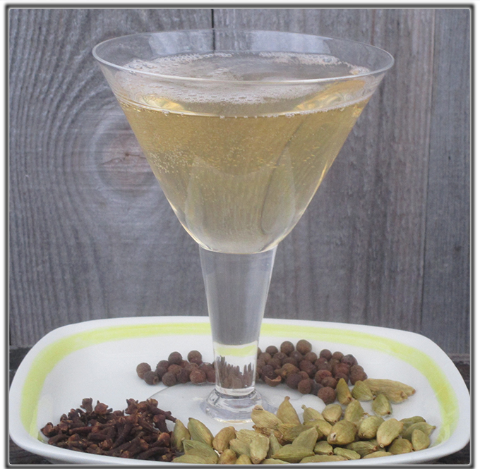 Gör egen kombucha! Scoby svamp till salu, skickas med vanlig post på 1 ...