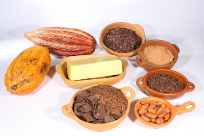 El Cacao y su proceso : julio 2015