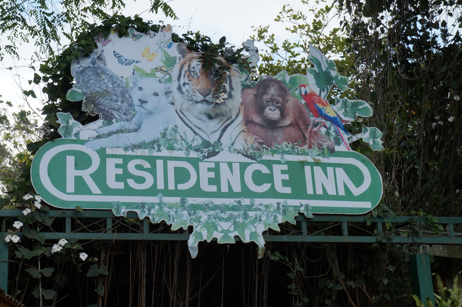 Residence Inn : Zoo Fun and Zip Line Adventure in Tagaytay ~ Wazzup ...