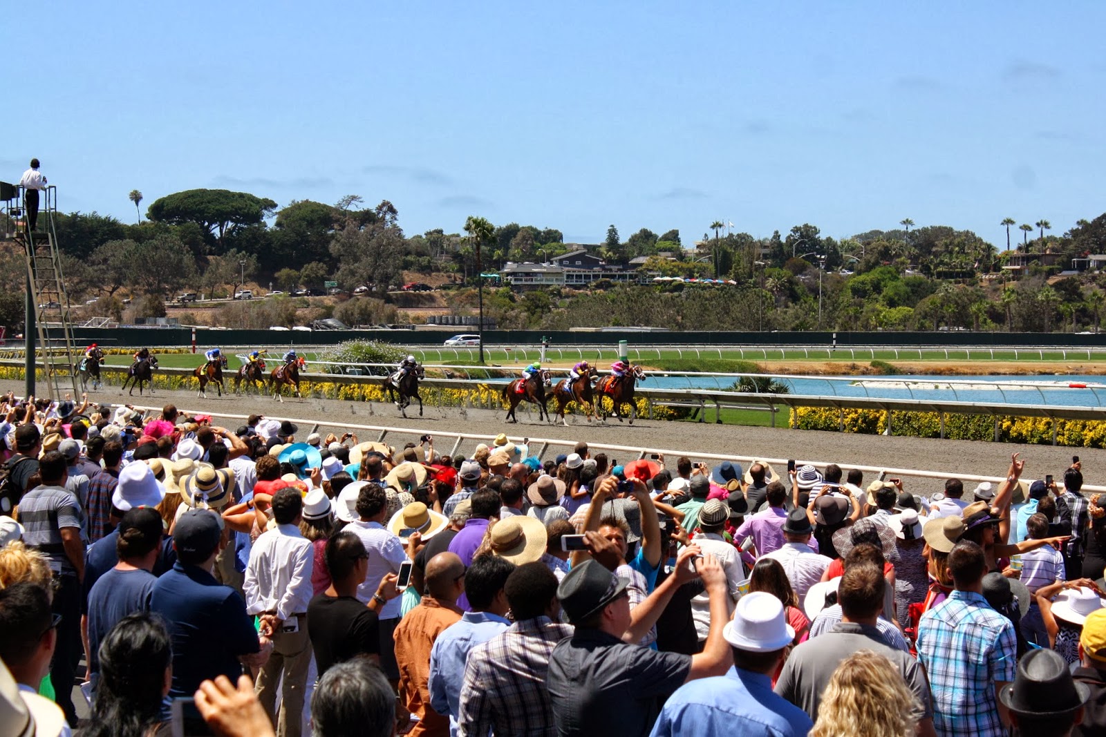 To California...and Beyond?: Opening Day at Del Mar Racetrack