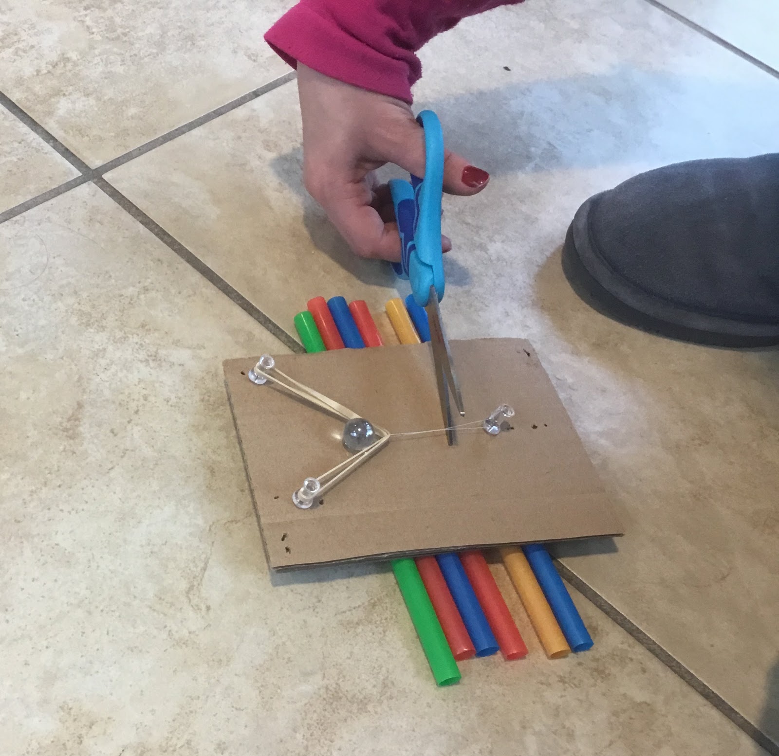 Biology by the Math Mom: Newton’s Laws of Motion