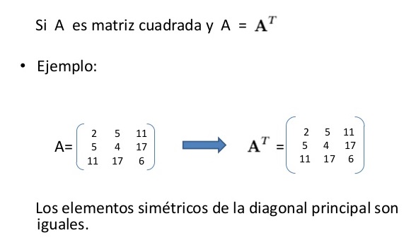 MATRICES: Determina y clasifica matrices según sus características ...
