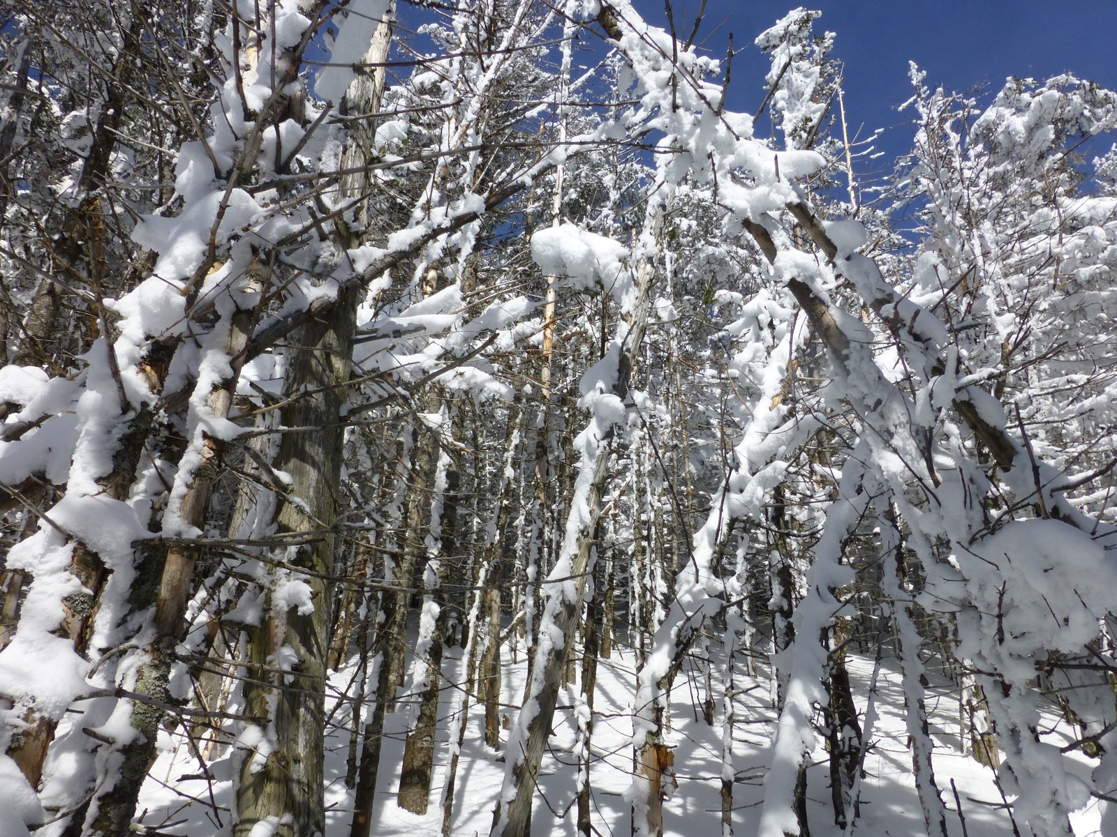 Off on Adventure: Hough Peak & My ADK Winter 46er Finish- 3/8/13
