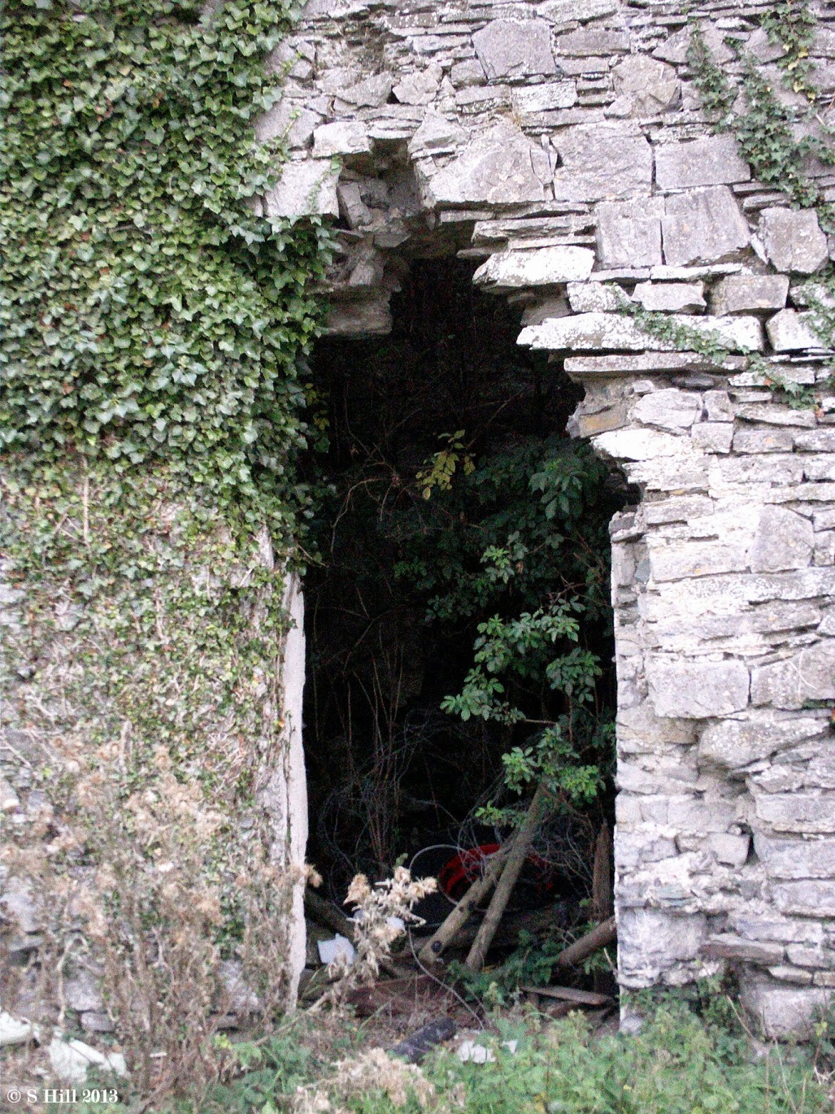 Ireland In Ruins: Newcastle Lyons Castle Co Dublin