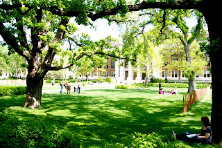 The View Through my Lens