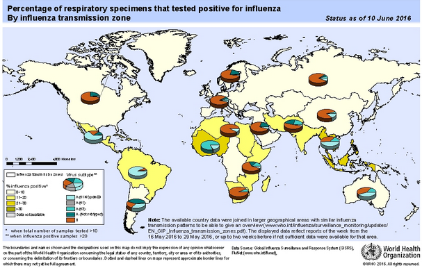 Avian Flu Diary: WHO: Global Influenza Update #265