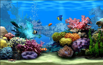 Ⓦallⓟapers: SFONDI ANIMATI PER IL DESKTOP