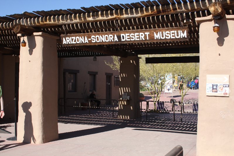 Stirring the Pudding: The Arizona-Sonora Desert Museum is a Tucson Treat