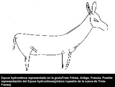 Criptozoología en España: Nuevos datos sobre el zebro de la Península ...