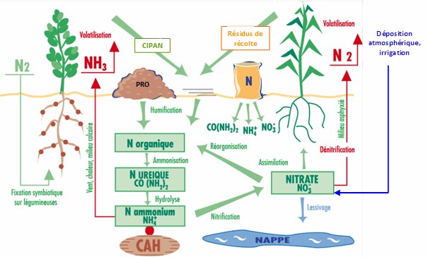 AGRO REPORTER: METHODE DU BILAN AZOTE - EPISODE 1/3 « LES PRINCIPES