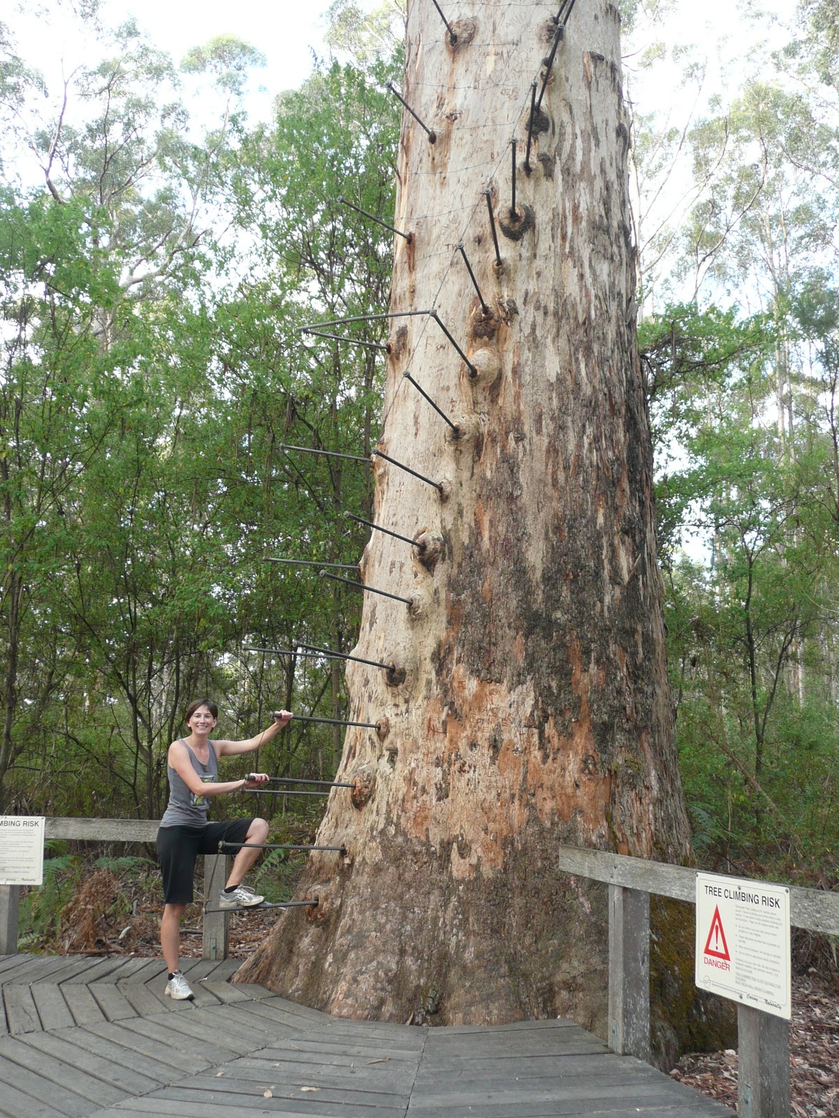 Nele & Andrew Around Oz: Big Brook Arboretum Campground, Pemberton, WA