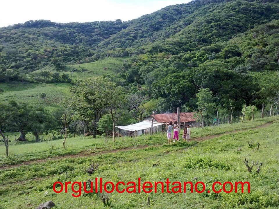 Orgullo Calentano - Región de Tierra Caliente: abril 2013