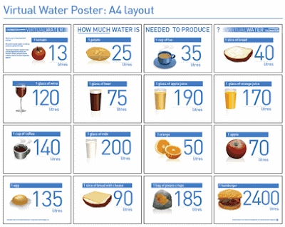 Tangible Virtual Water: What is virtual water, and how can it be tangible?