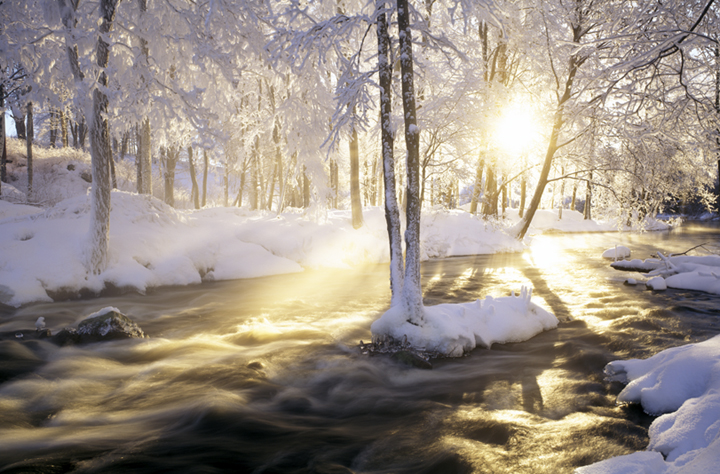 Hanne Vassbø - Blomsterdekoratør: Vinter/vår inspirasjon