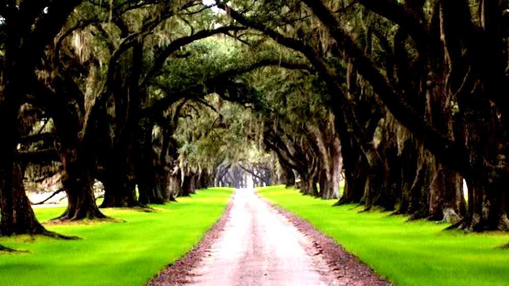 Upper Brandon Plantation