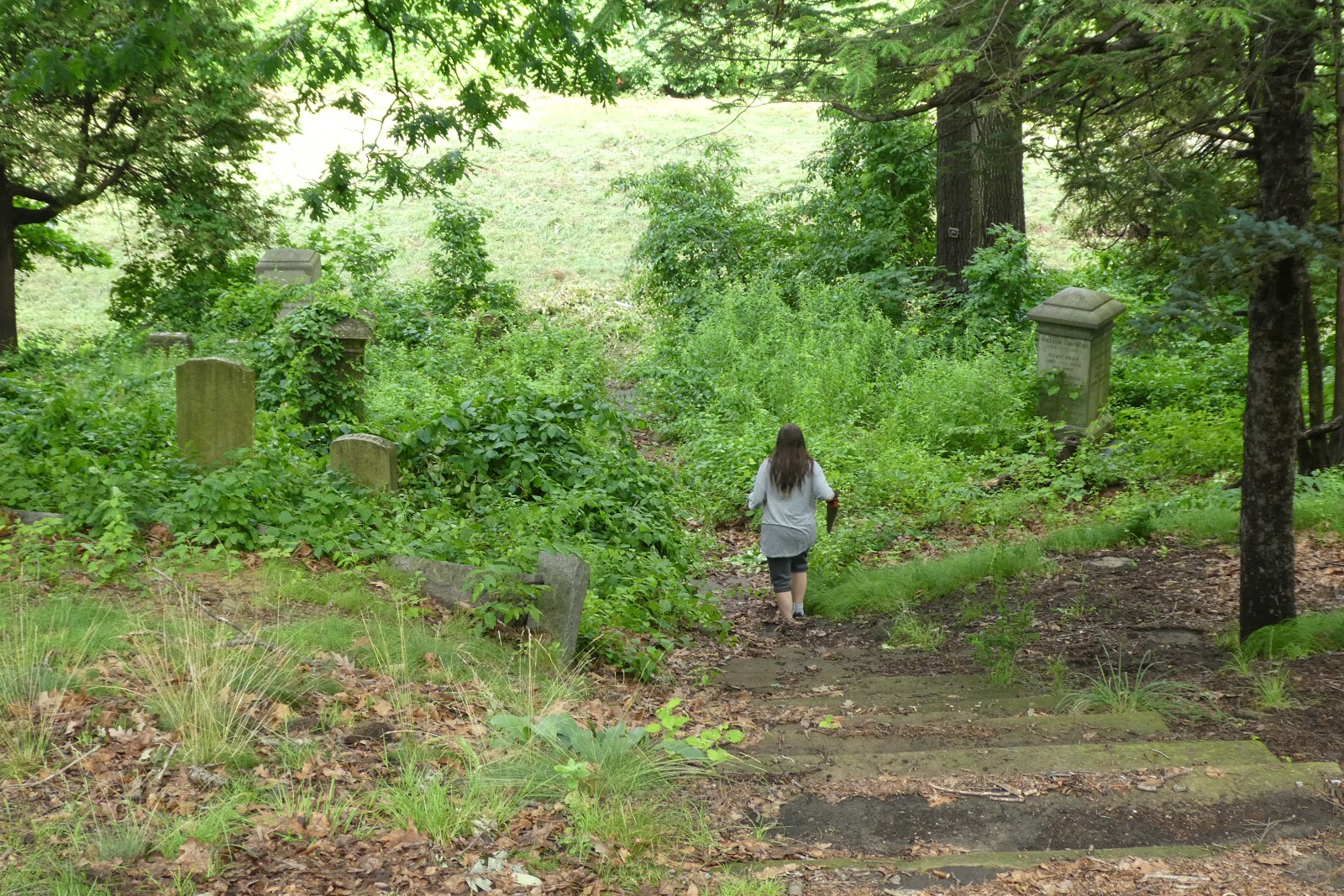 Nutfield Genealogy: Historic Valley Cemetery, Manchester, New Hampshire