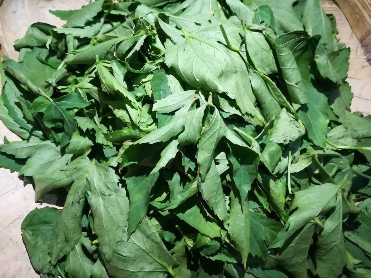 The easiest and simplest gongura/pulicha keerai recipe - Tamilnadu style!