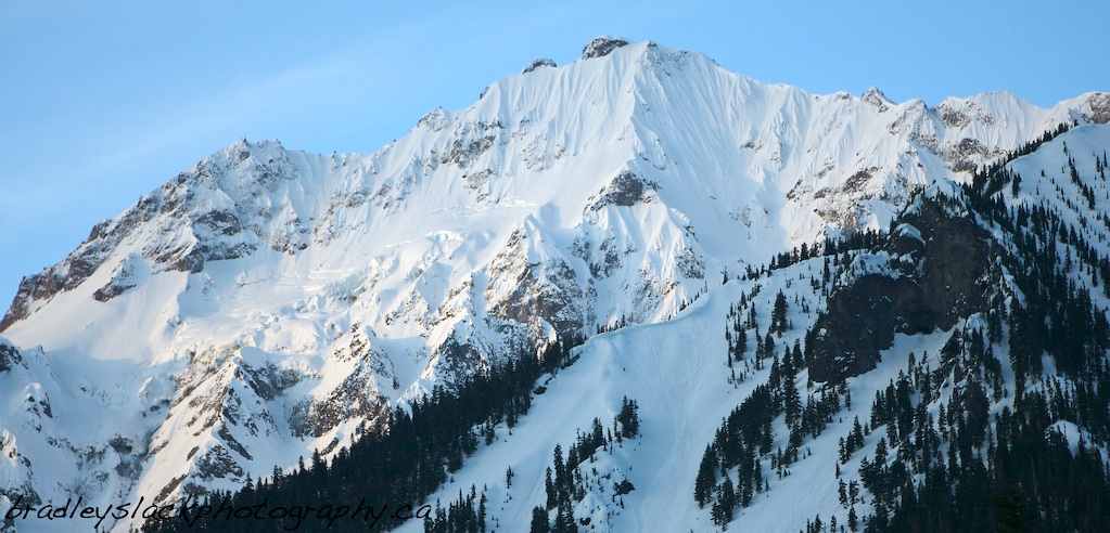 Daryl Treadway's Stories & Videos