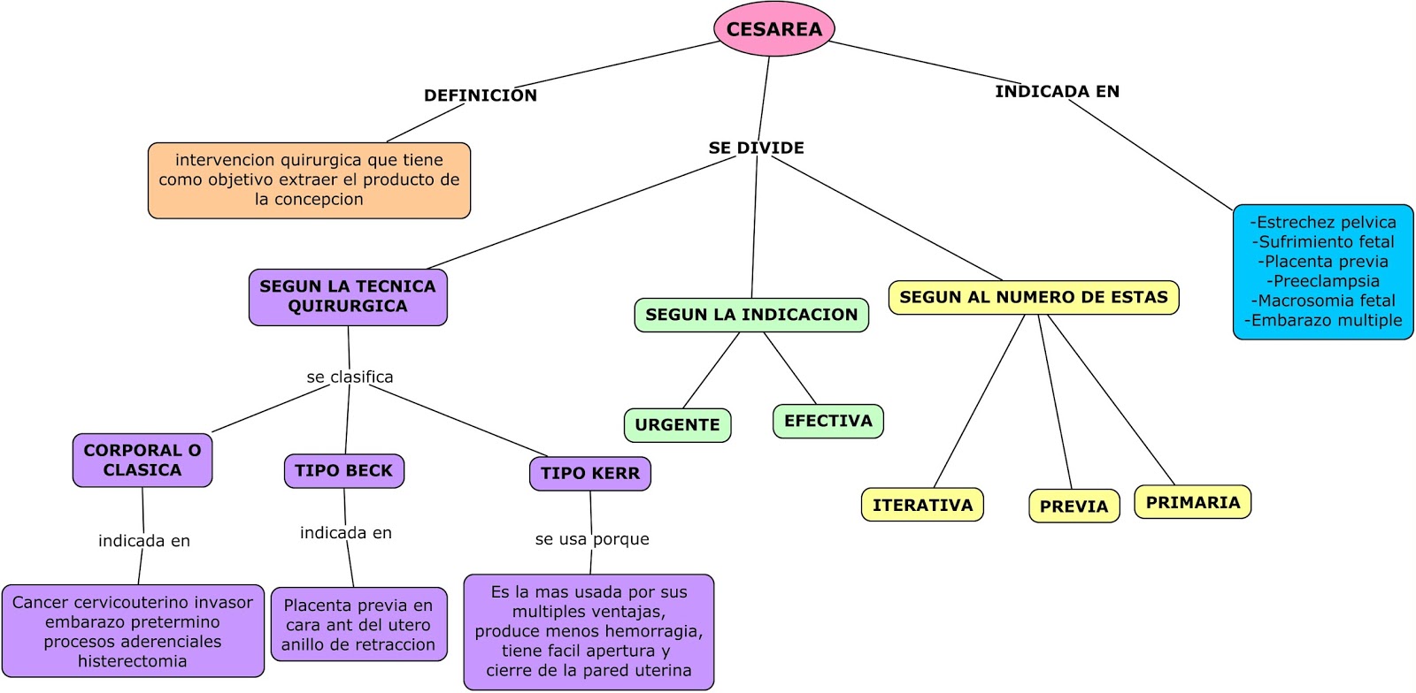 Jorge Luis Samaniego Lopez Gineco UAS 2017: 2017