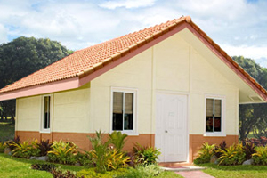 Avida Housing: Avida Village, Santa Catalina - Padova Model