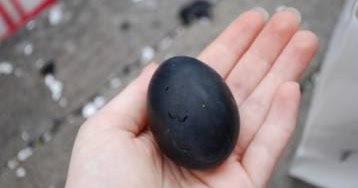 Fenomena Telur Rebus Hitam Kuro Tamago Berkhasiat Menambah Umur ...