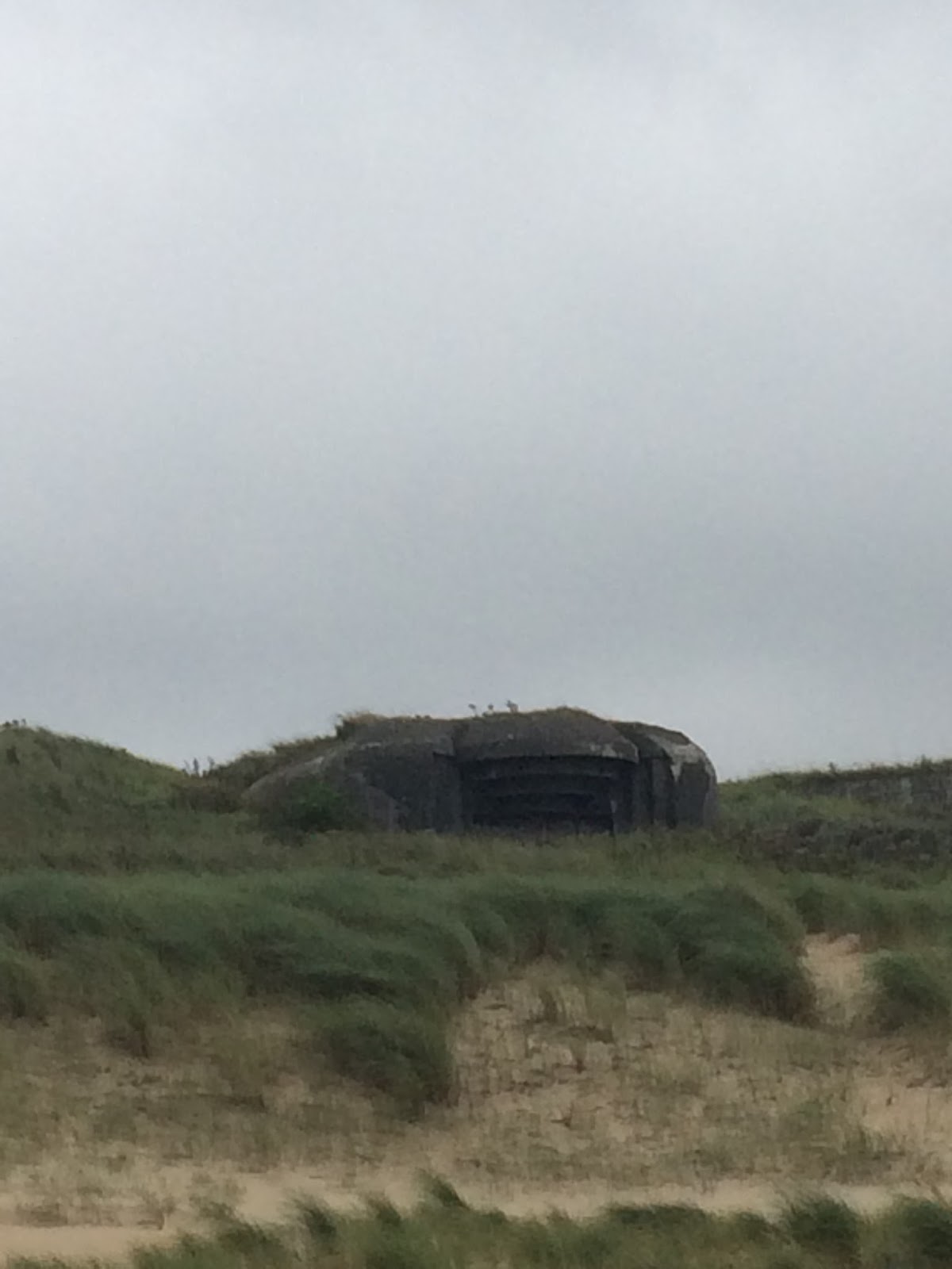 bunkers: Bunkers Scheveningen IV - Marine Seeziel Batterie