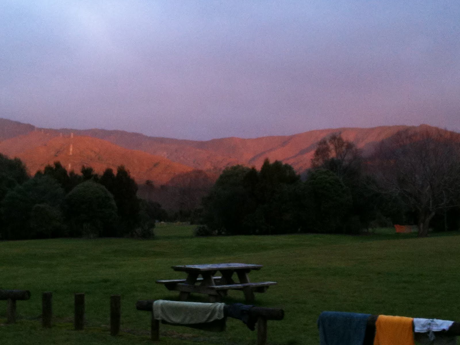 Bros in New Zealand: Kaitoke Regional Park (Rivendell)