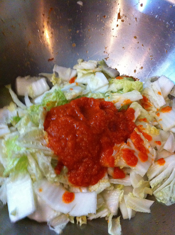 Taste Like Chicken - What's Mike Cooking?: Easy Home Made Kim Chee