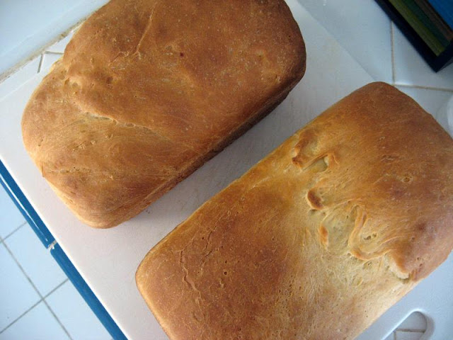 Homemade Egg Bread for Texas Toast | Fresh from the...