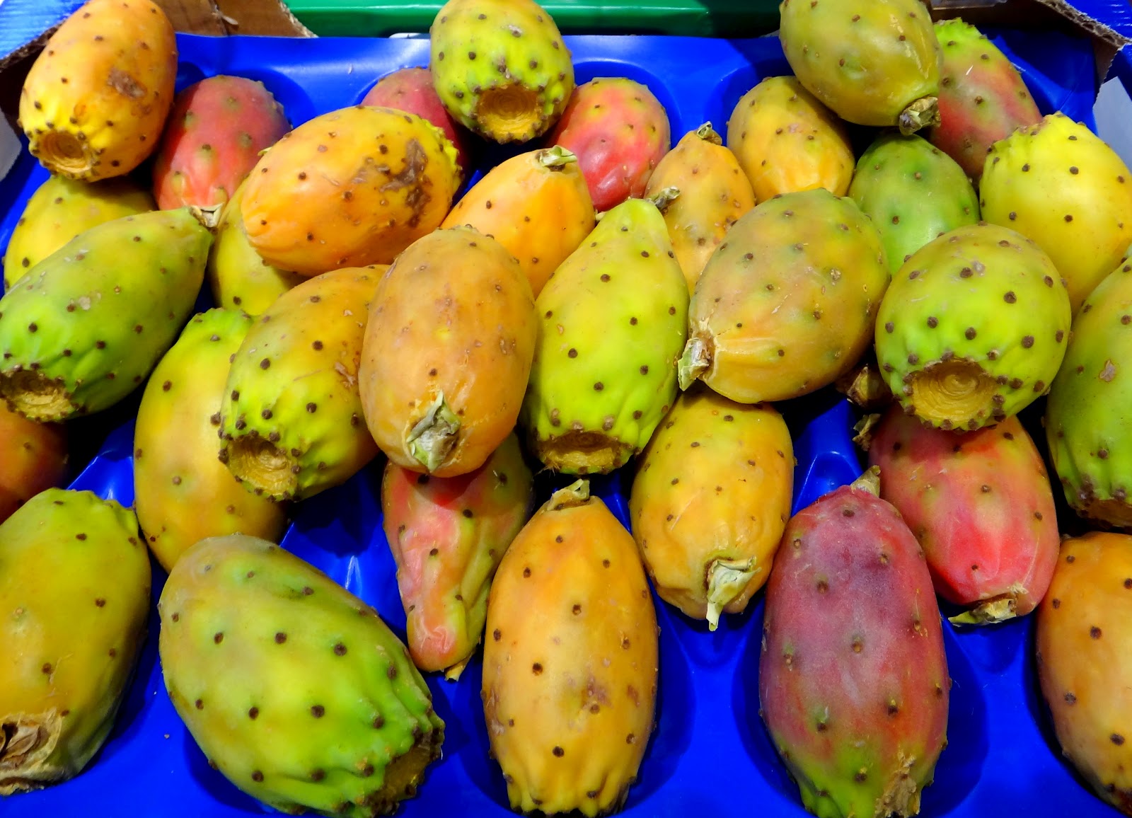 A Day in the Life...: Fiesta Europea