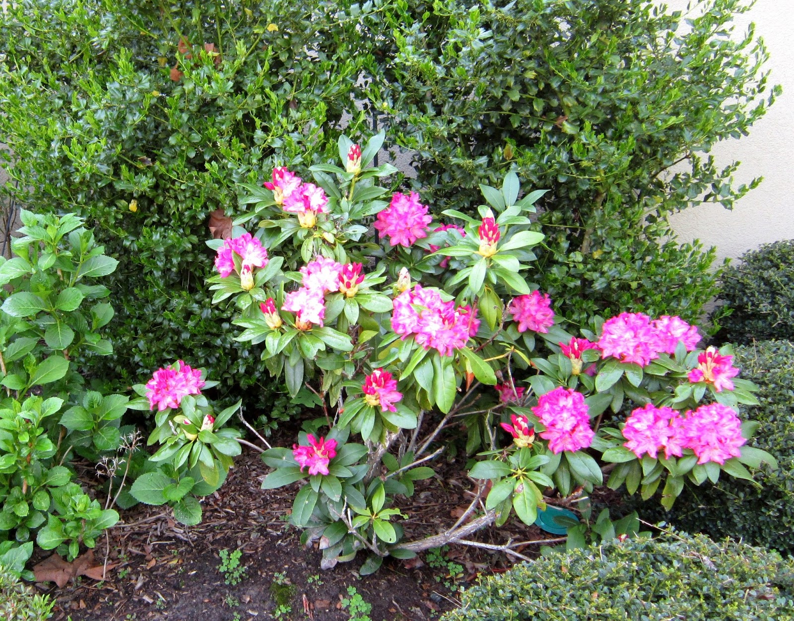 Living As Linda: LASTLY... ALL SPRUCED UP