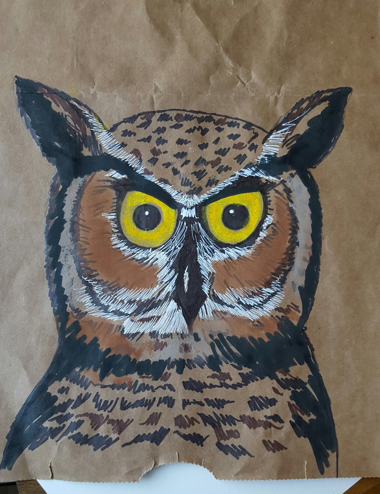 Sharpie Doodles Owl