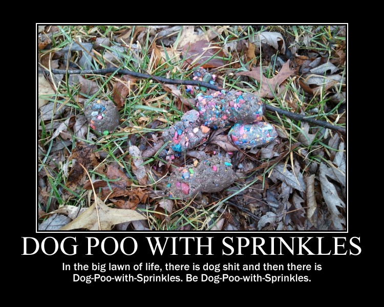 Woodn't Ya Know It...: This Dog Poo is a Metaphor for Life