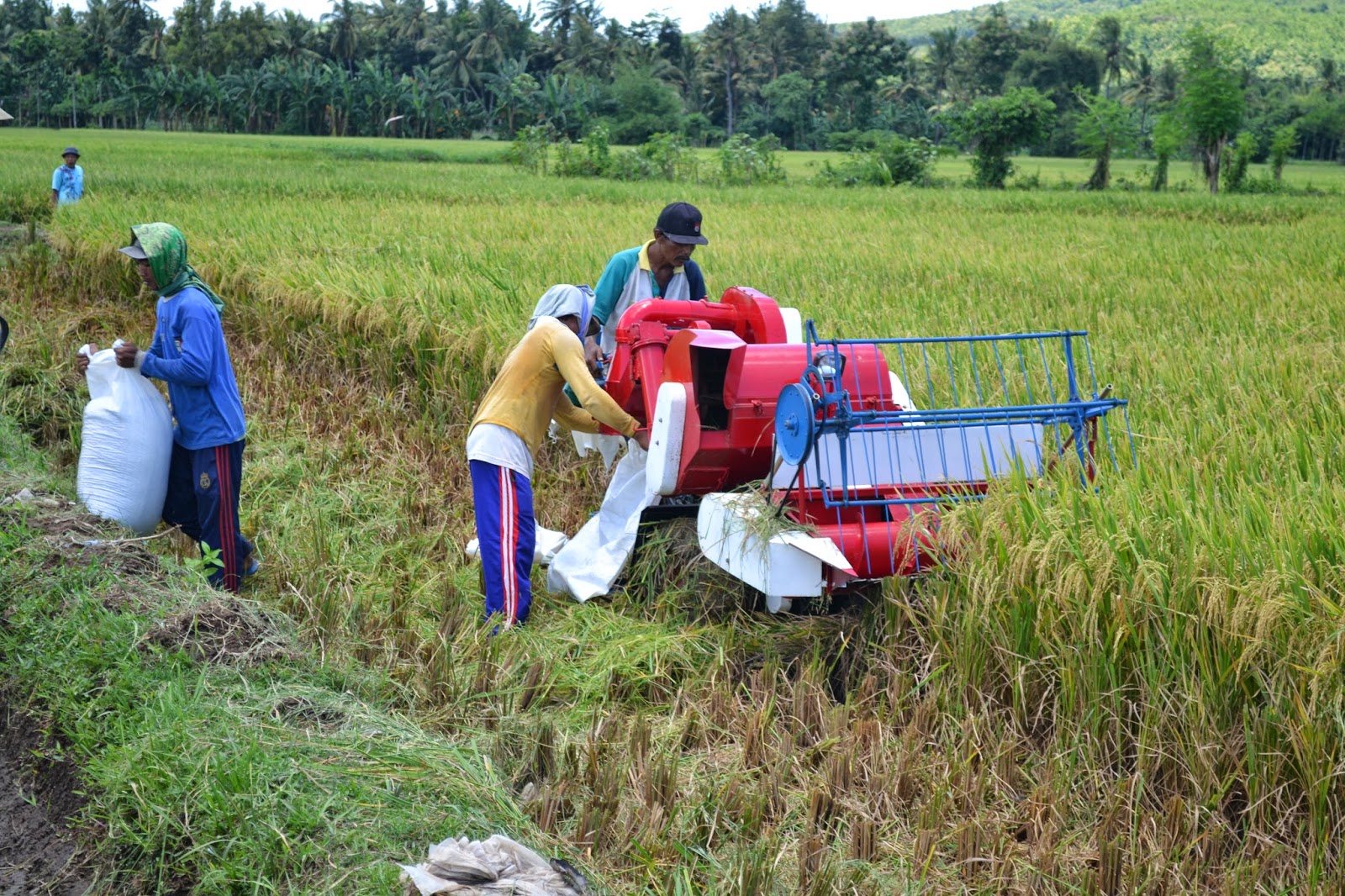 Demo Mesin Panen Padi ~ Santoso Advance Agricultural Machinery