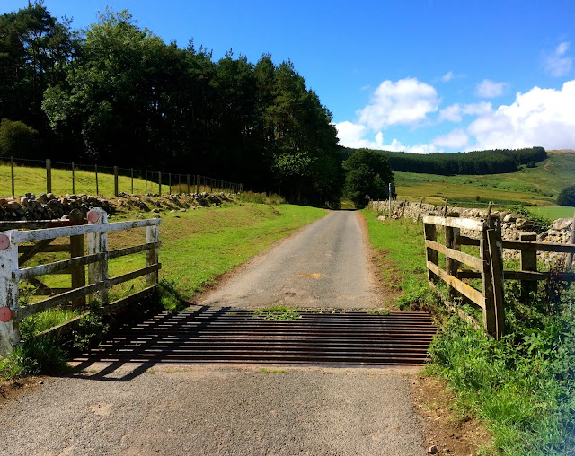 Days out in the Borders : Linhope Spout Walk