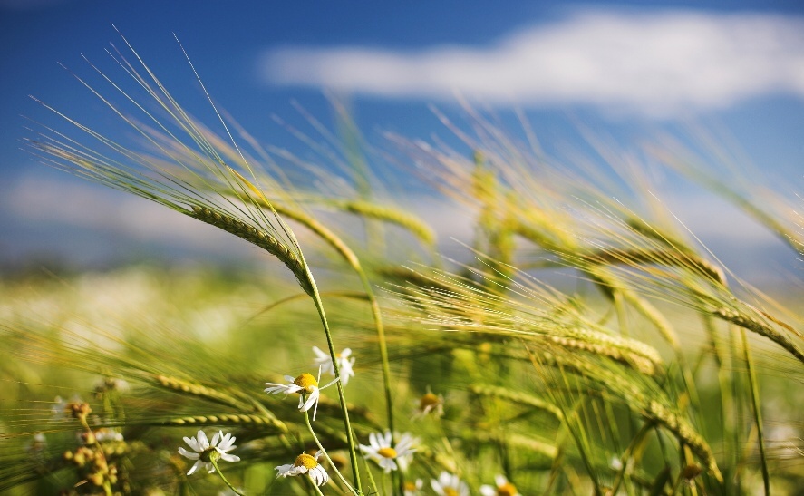 5 Angin Setempat yang Terkenal di Indonesia ~ Ruana Sagita